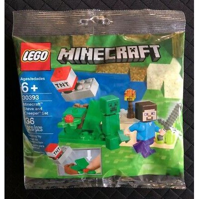 Buy Mrbrickhunt [MrBrickHunt] Lego 30393 Minecraft Steve and Creeper ...