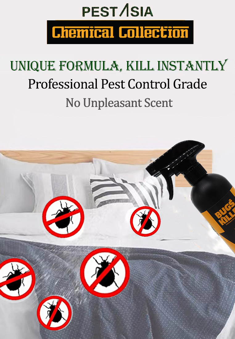 Bed Bugs Killer Spray In Kuwait at Lisa Bazan blog