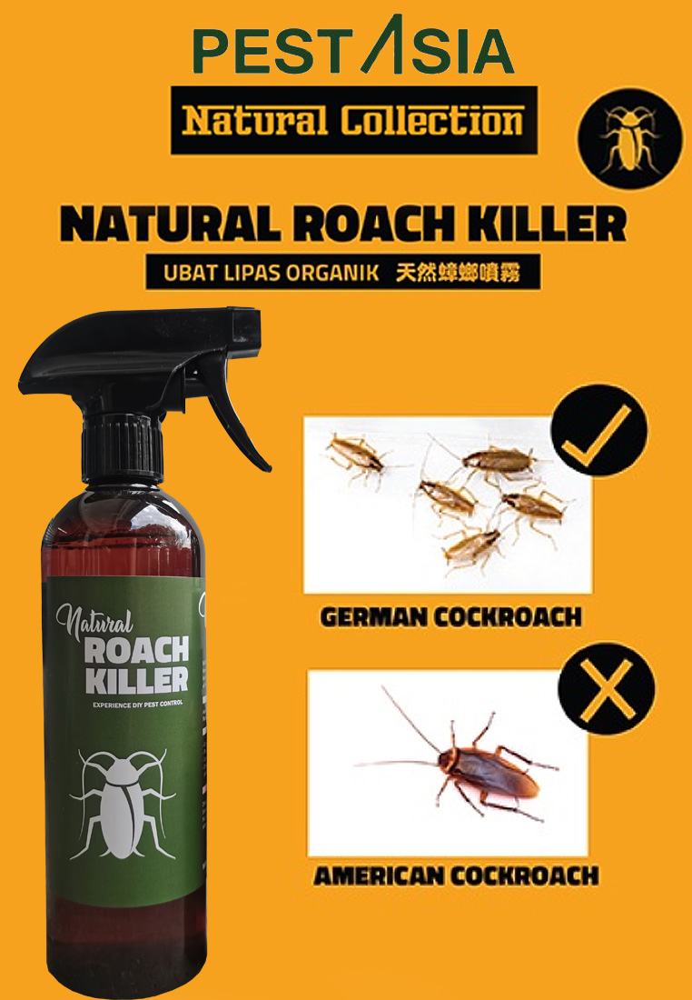 Home & Living :: Housekeeping :: Cleaning :: Cleaning Products :: PEST ...