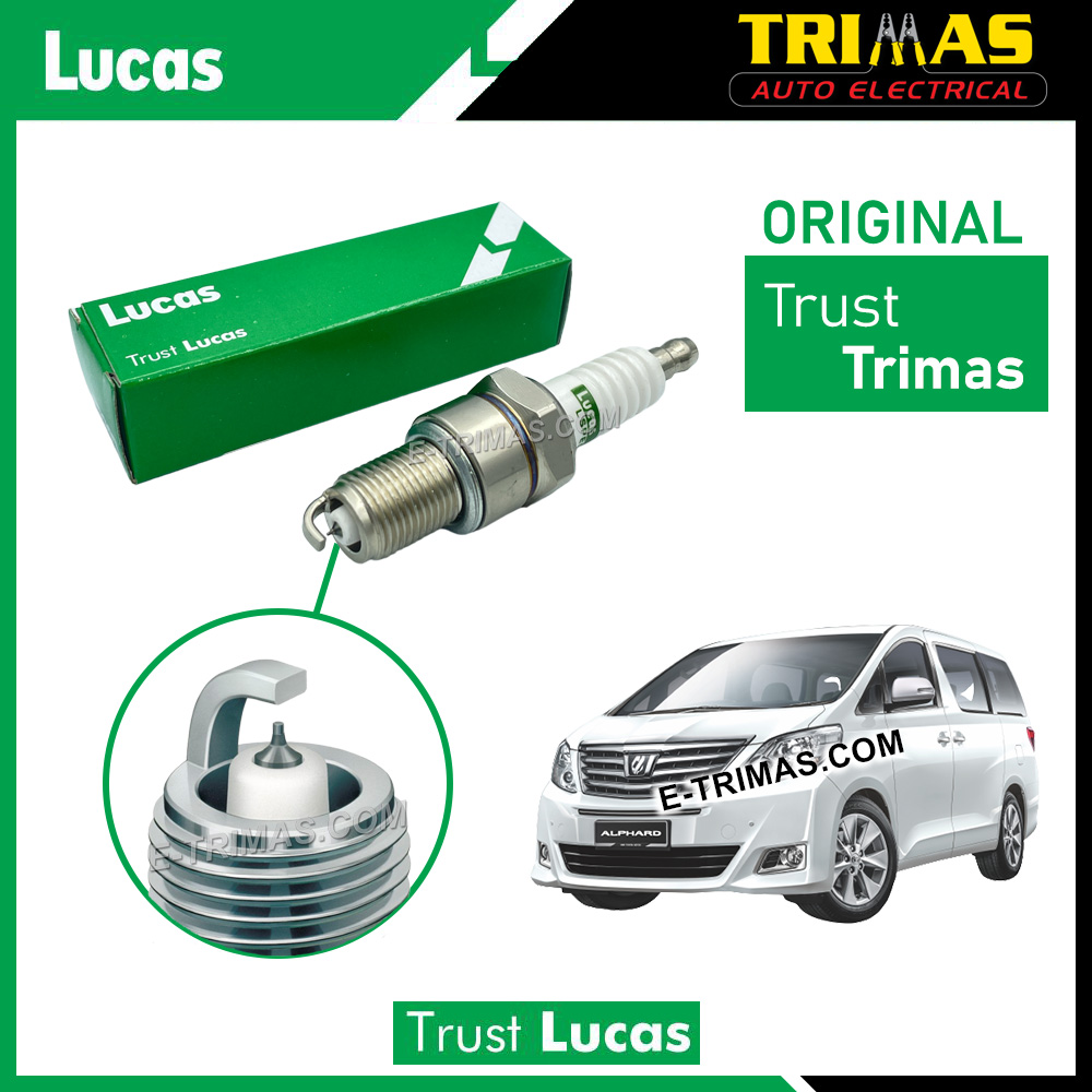 Buy E-trimas TRIMAS Toyota Alphard ANH20 2.4 2AZ-FE 2008-2015 Original ...