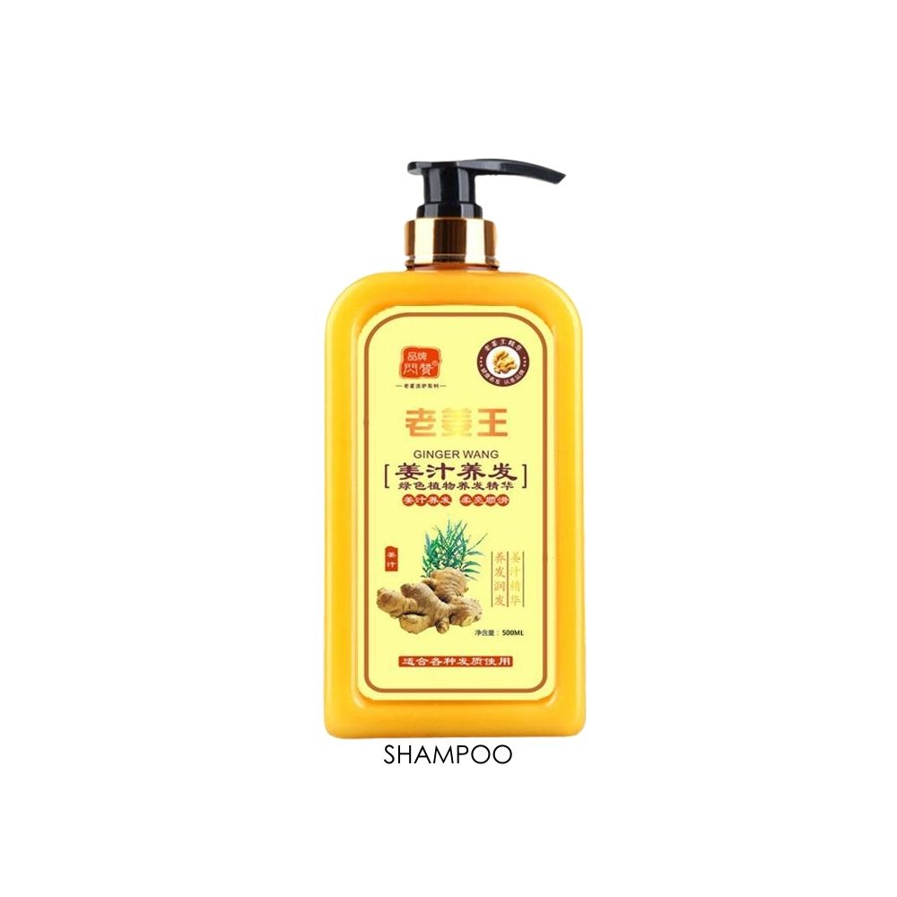 Buy Jorysi SHANZHAN Ginger Wang Hair Shampoo for Oily, Itchy Scalp ...
