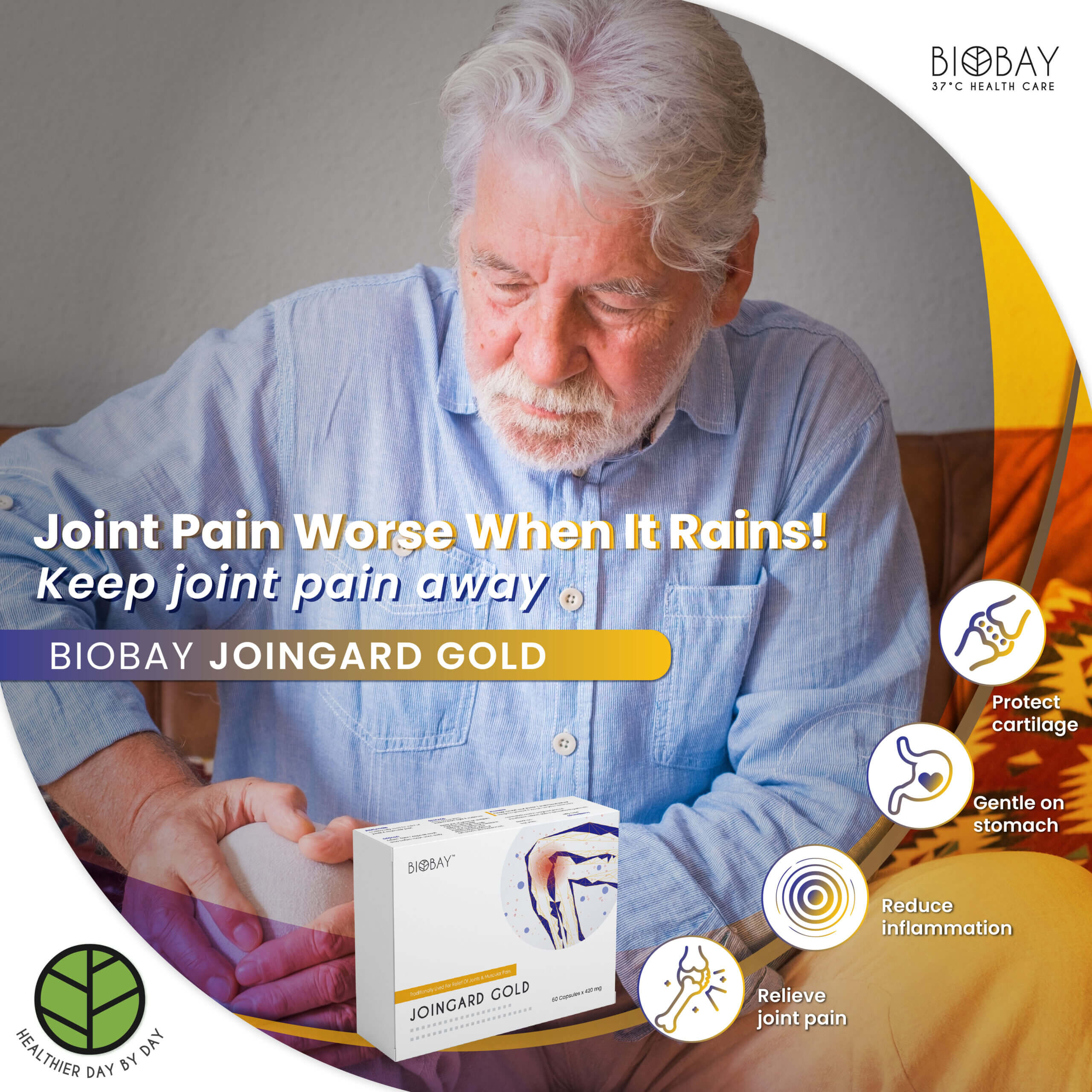 Buy Joingard Gold by Biobay (60's) | eRomman