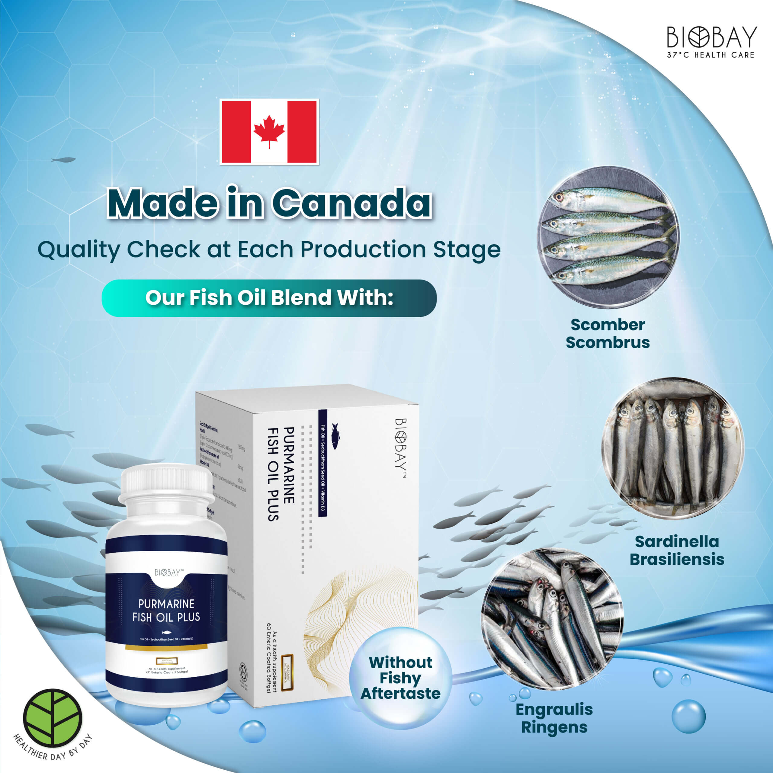 Buy Purmarine Fish Oil Plus by Biobay (60's) | eRomman