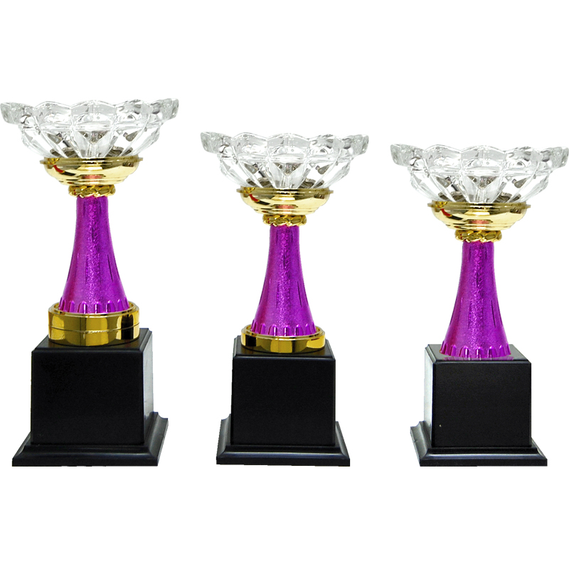 Buy Pattern Trophy Set CP0309 | eRomman