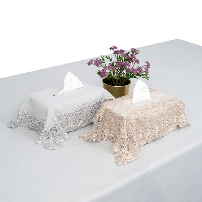 Buy Lacenembroidery Ottoman Lace Tissue Box Cover (Champagne) | eRomman