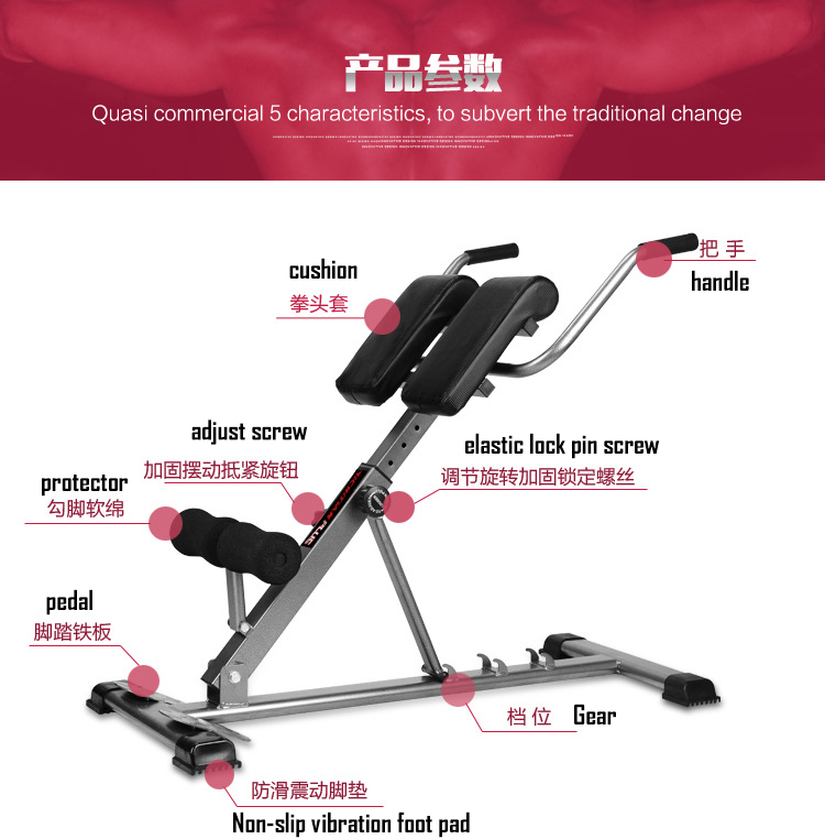 Buy Roman Lower Hyper Back Extension Bench Six Pack Hip | eRomman