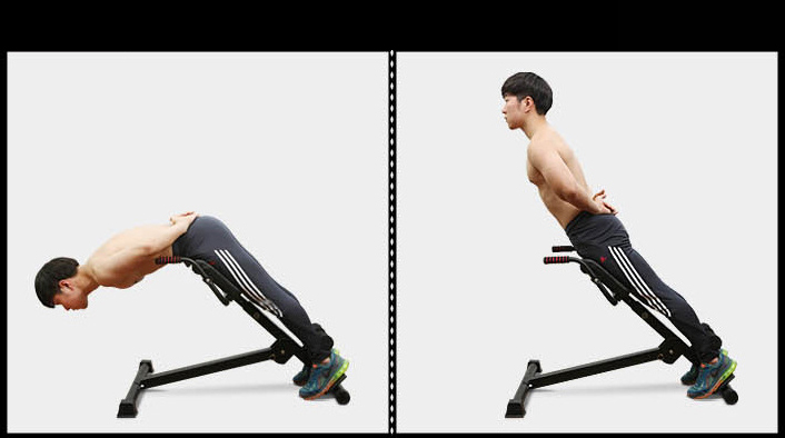 Buy Roman Lower Hyper Back Extension Bench Six Pack Hip | eRomman