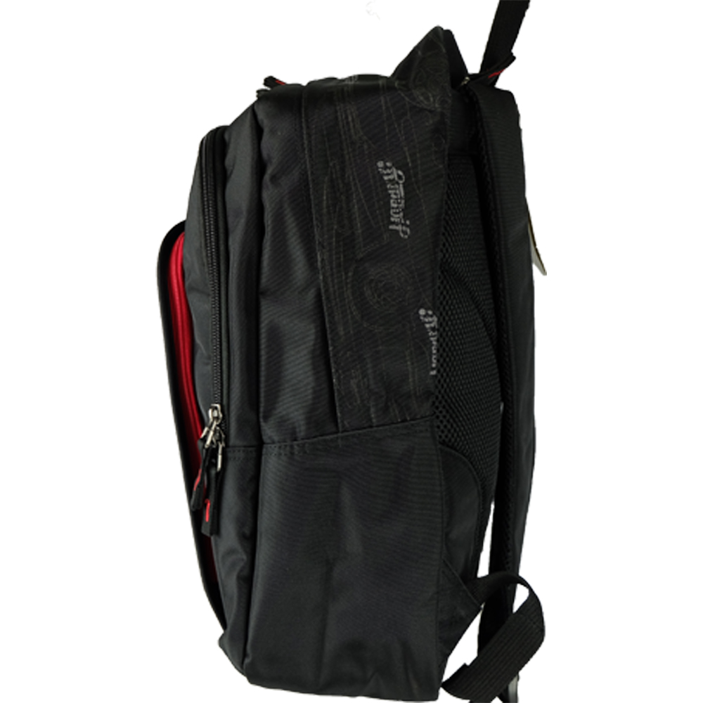 Buy Hanary 18 inch Multi-compartments Notebook Backpack - CR1629 | eRomman