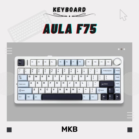 Buy Wireless Full Build Keyboard Leobog Ice Vein Switch | eRomman